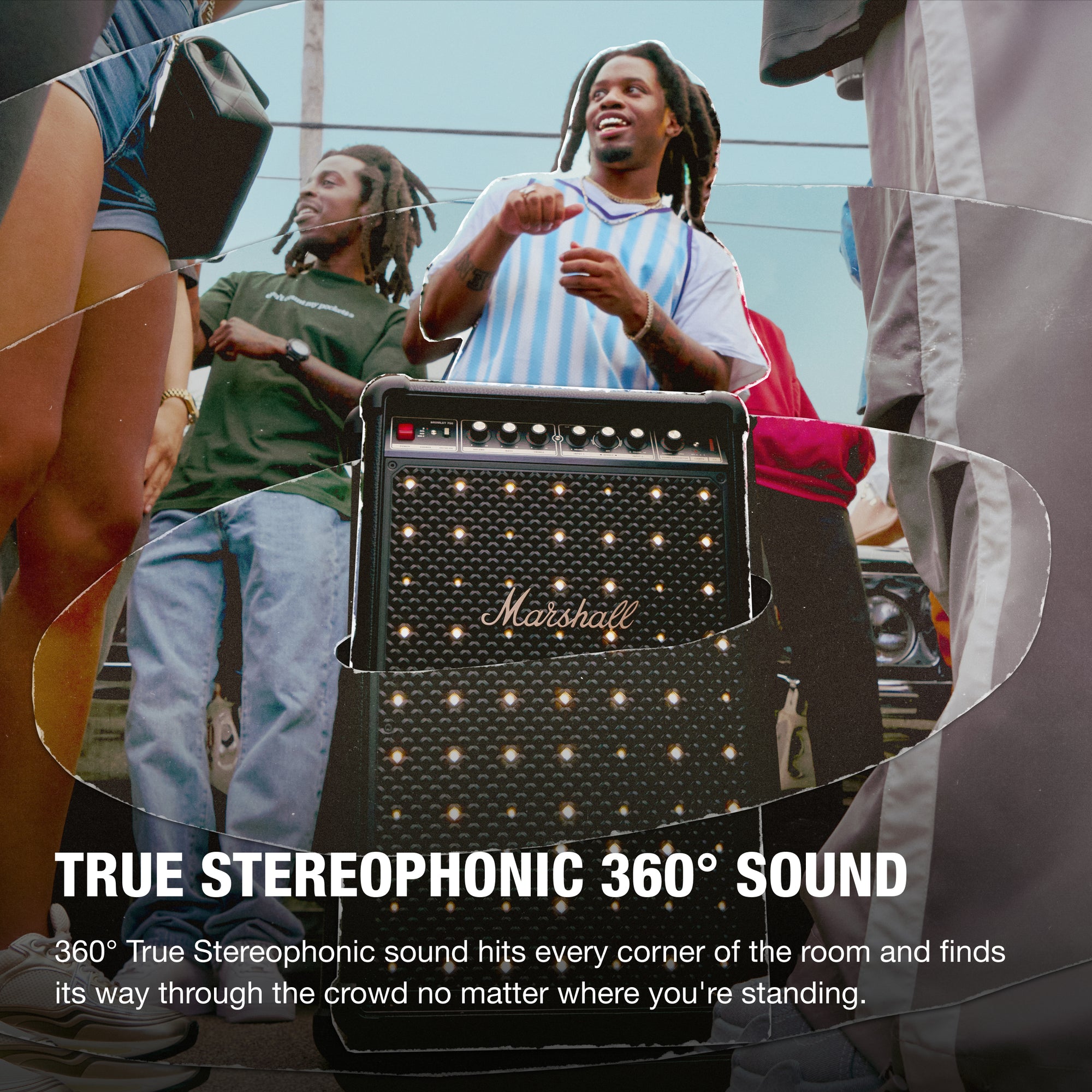 SHOP ALL MARSHALL – Connoisseur SA
